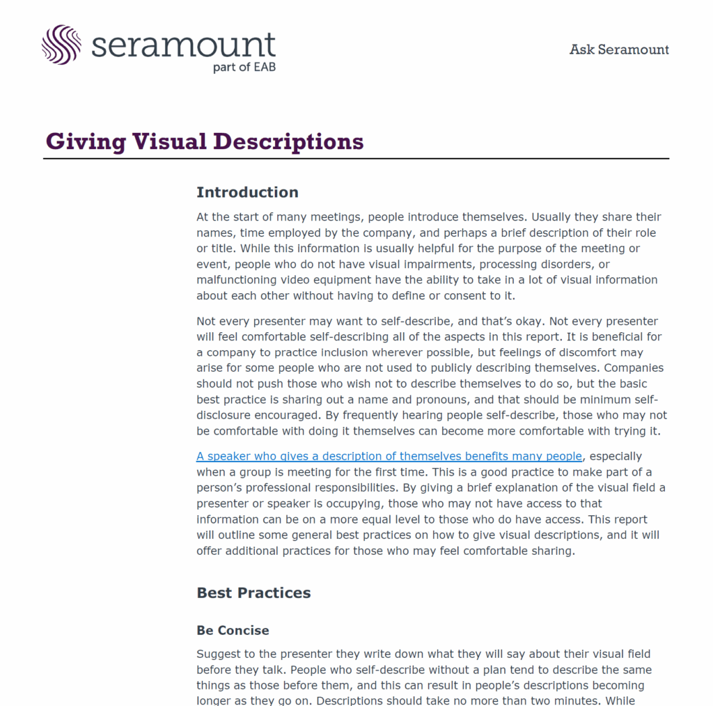 Giving Visual Descriptions: Making Meetings More Accessible | Seramount
